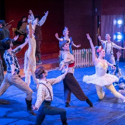 Comprar entradas CANCELADO - “PEDRO Y EL LOBO” BALLET DE BARCELONA de ...